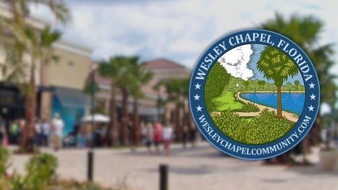 Petition · Incorporate and form the City of Wesley Chapel - United ...