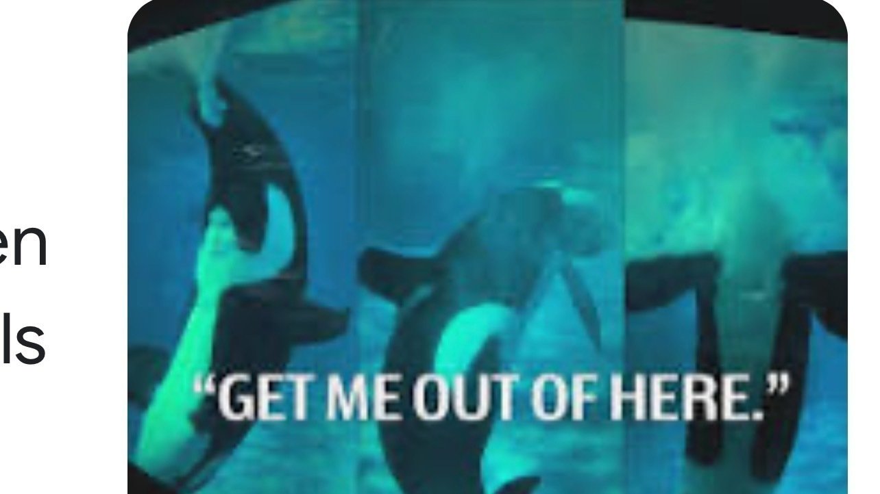 Petition · SHUT DOWN SEA WORLD PUT THE WORKERS IN JAIL - United States ...