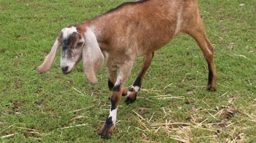 Petition · Please sign this petition and add a comment telling us is ...