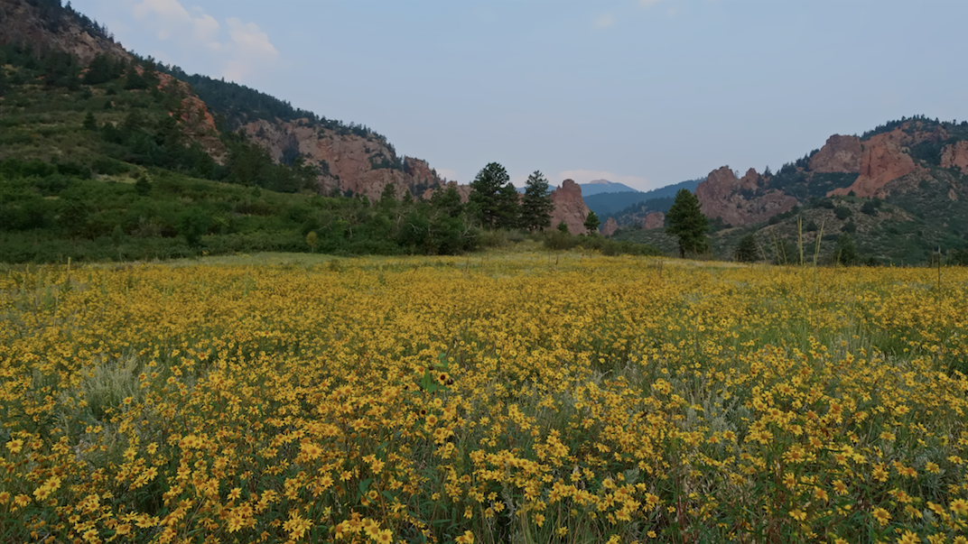Petition update · Last day to send comments on NCC Master Plan! Speak ...