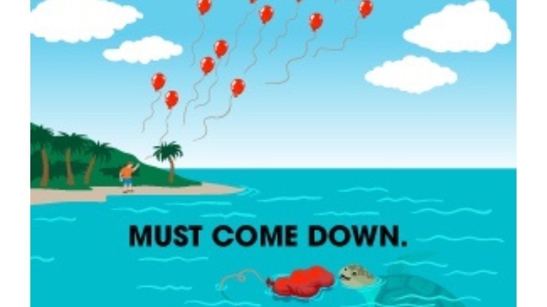 Petition · New Forest District Council to Ban Balloon Releases - United ...