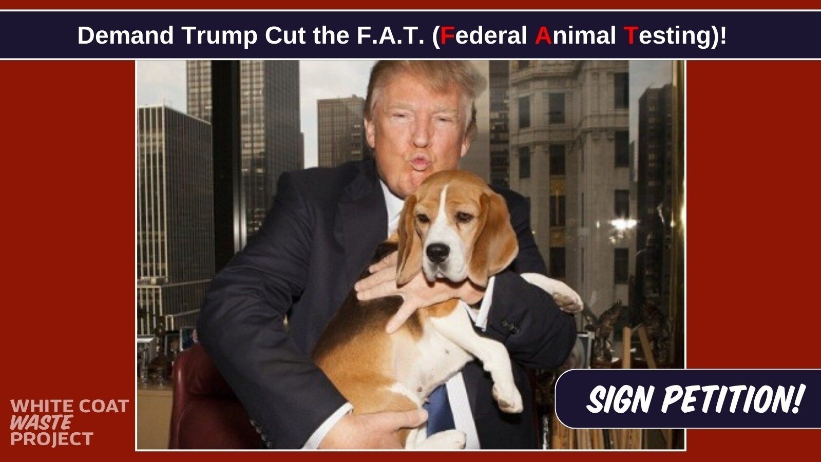 Petition update · Will Trump Cut Animal Testing Waste? You Can Help ...