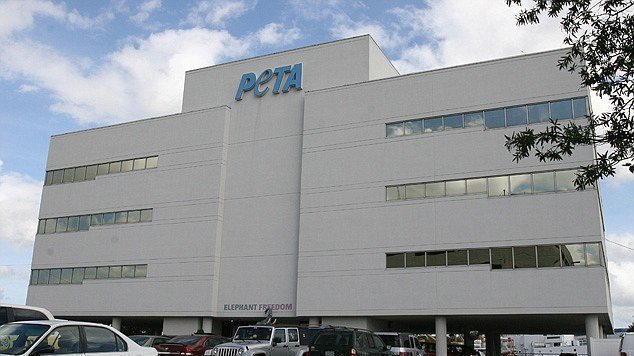 Petition · Build a Wall around PETA HQ instead of Mexico - United ...