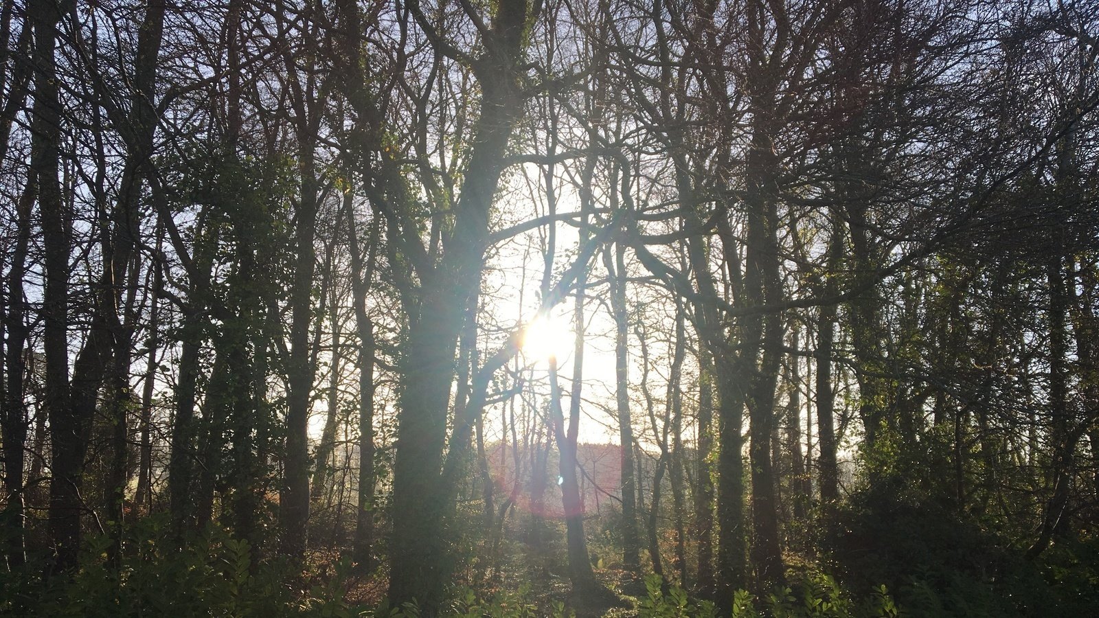 Petition · Save Clandeboye Avenue - United Kingdom · Change.org