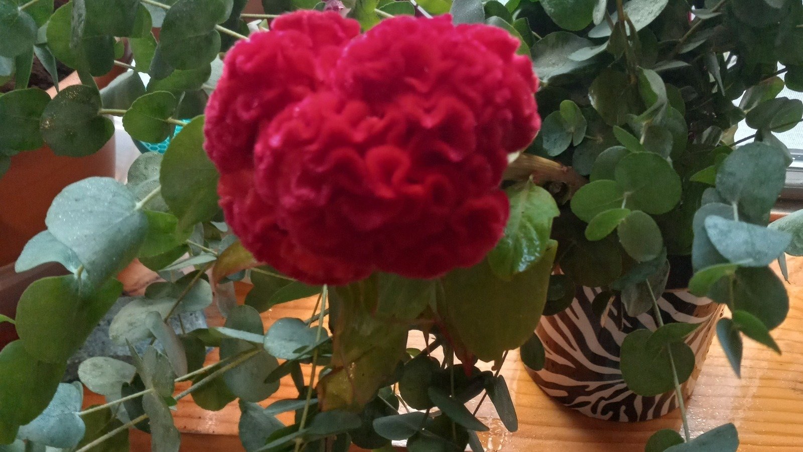 Petition · Facebook needs to verify any new profile created that is a duplicate name/uplicate ...