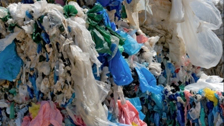 Petition · Plastic bag effect - United States · Change.org