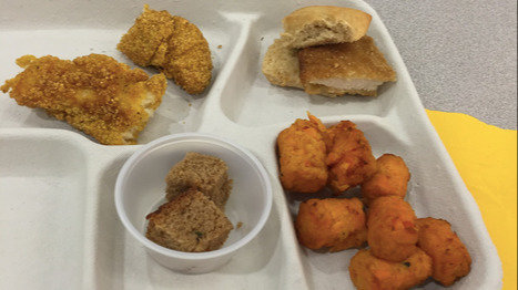 Petition · Bigger Food Portions for APS School Lunches - United States ...