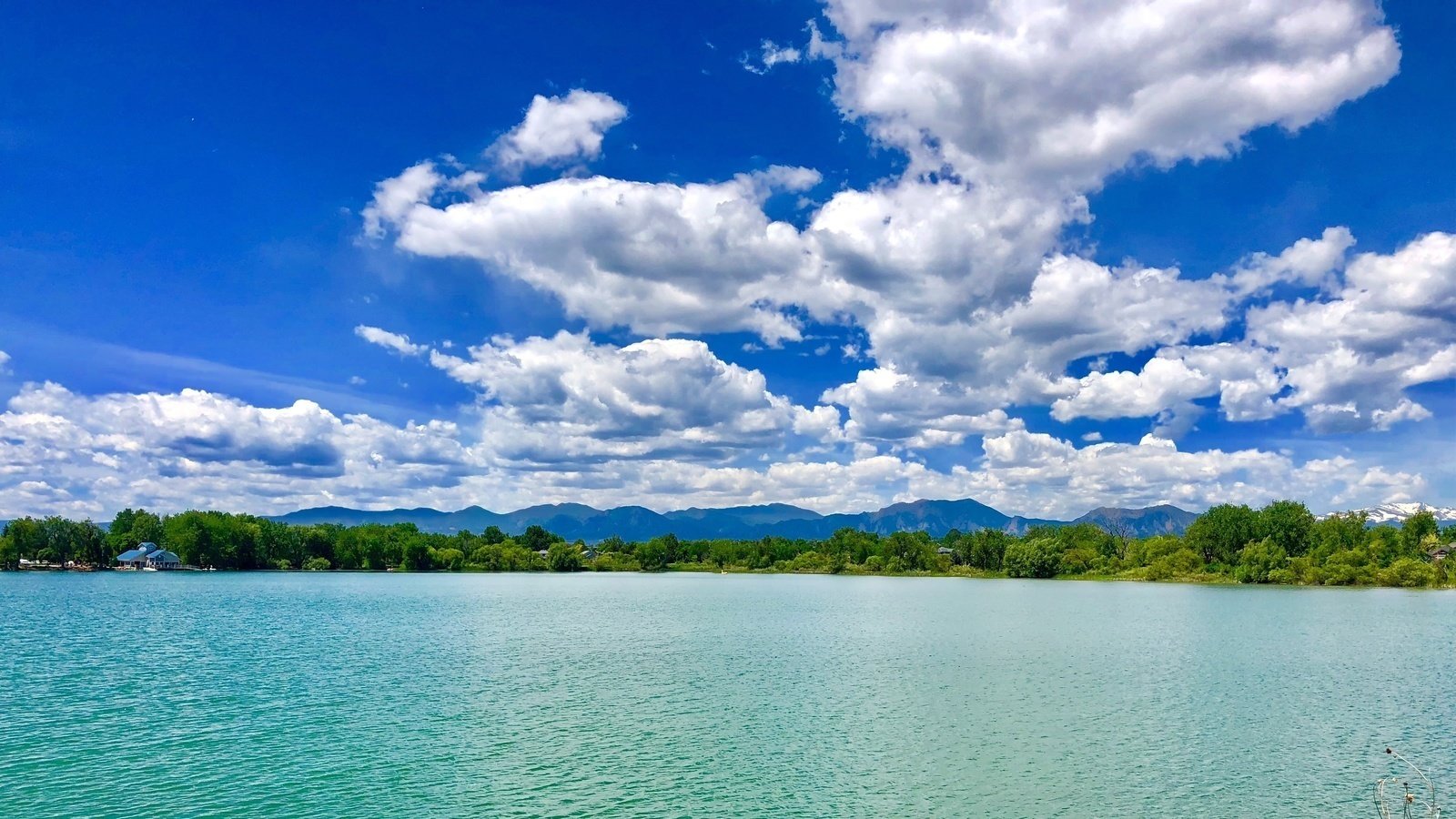 Petition · Allow personal self-propelled watercraft on Waneka lake ...