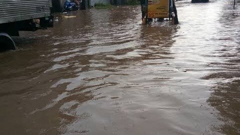 Petition · Mandate Regular and Proper Drainage Cleaning to Prevent ...