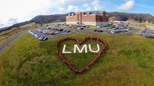 Petition · Student Health Insurance for LMU-DCOM - United States ...