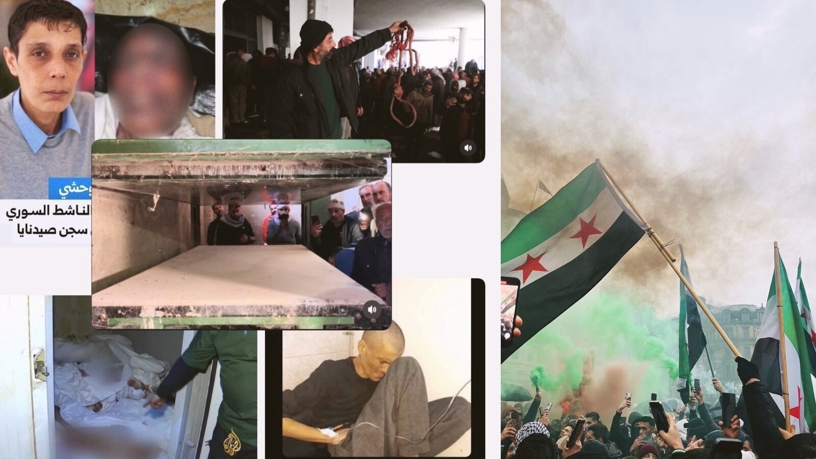 Petition · Raise the Syrian Freedom Flag and Resume Syrian Asylum ...
