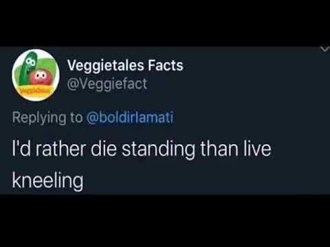 Petition · Unban the veggiefact twitter account! - United States ...