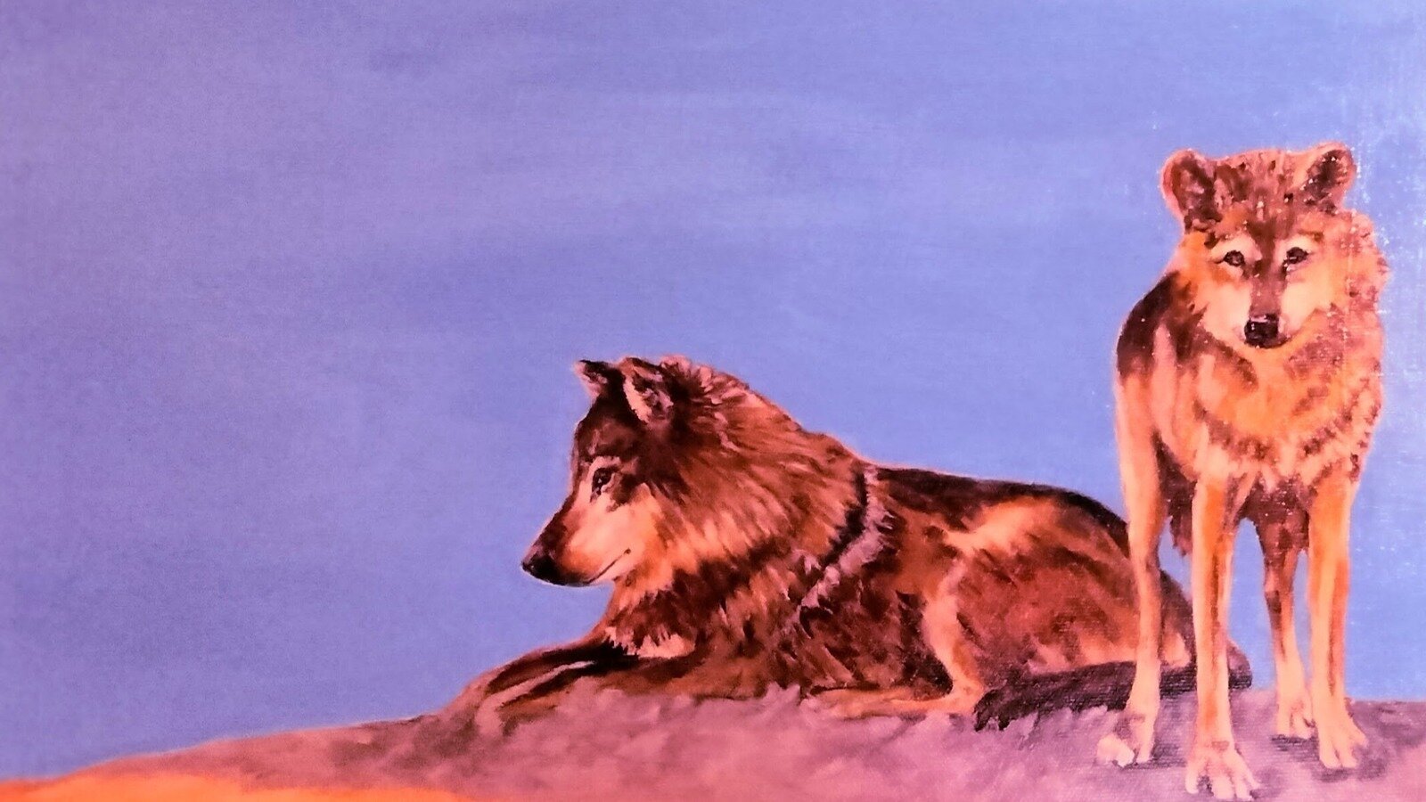 Petition · Protect United States Endangered Species from Harmful ...