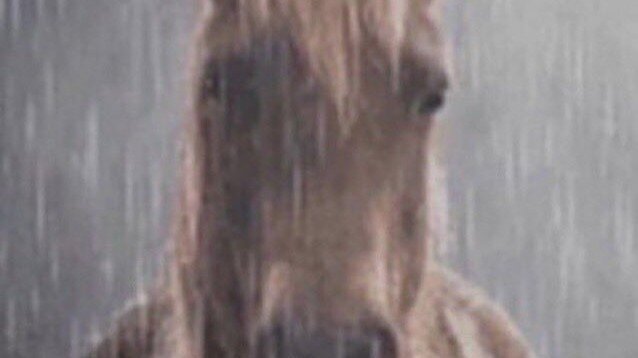 Petition · Get Maxwell Pham to stop playing people playground - United ...