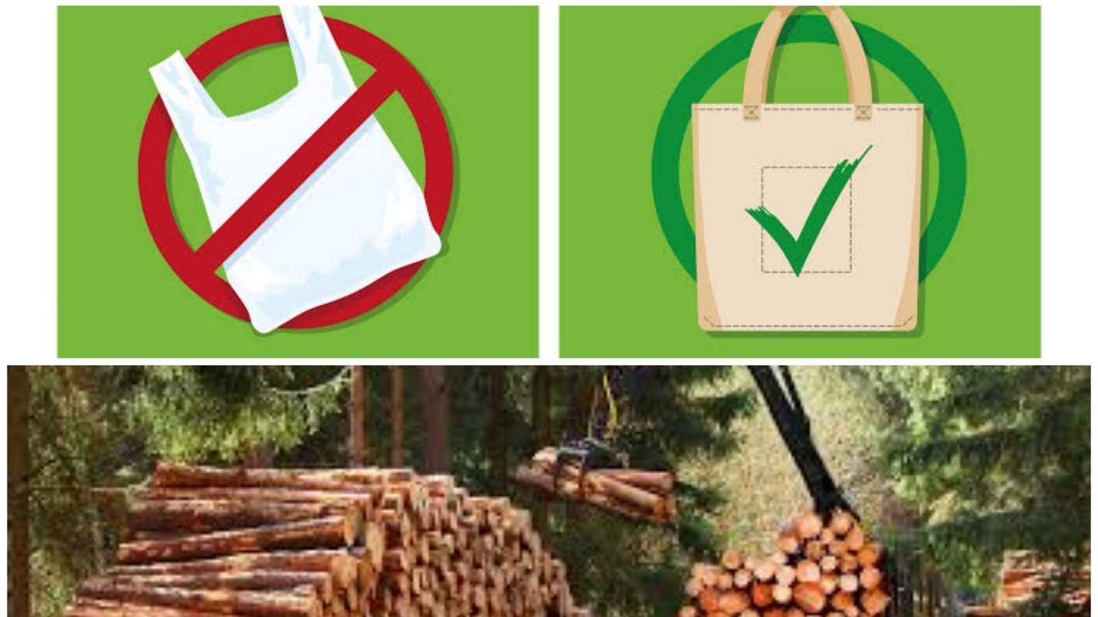 Petition · Ban single use of plastic bag and illegal logging of trees ...