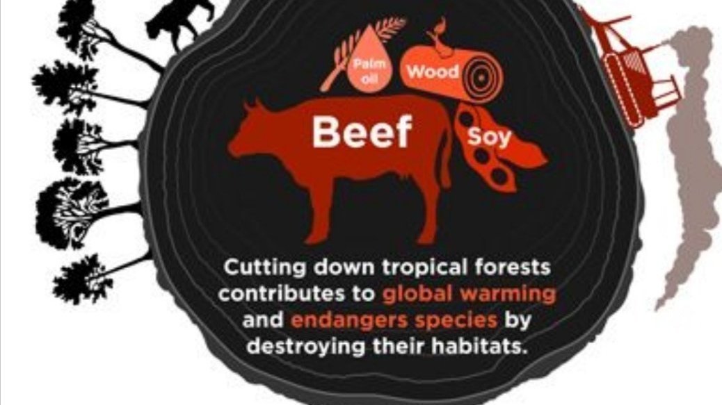 Petition · Help protect life on land through active global citizenship ...