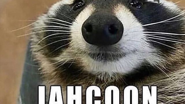 Petition · Petition to make Jahcoon a stand - Canada · Change.org