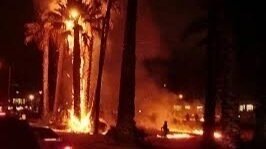 Petition · Relocate Riverside's Fireworks from Mt Rubidoux - Riverside ...