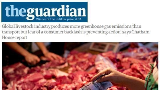 Petition · Ask Pope to help climate -- No meat/fish on Fridays - United ...