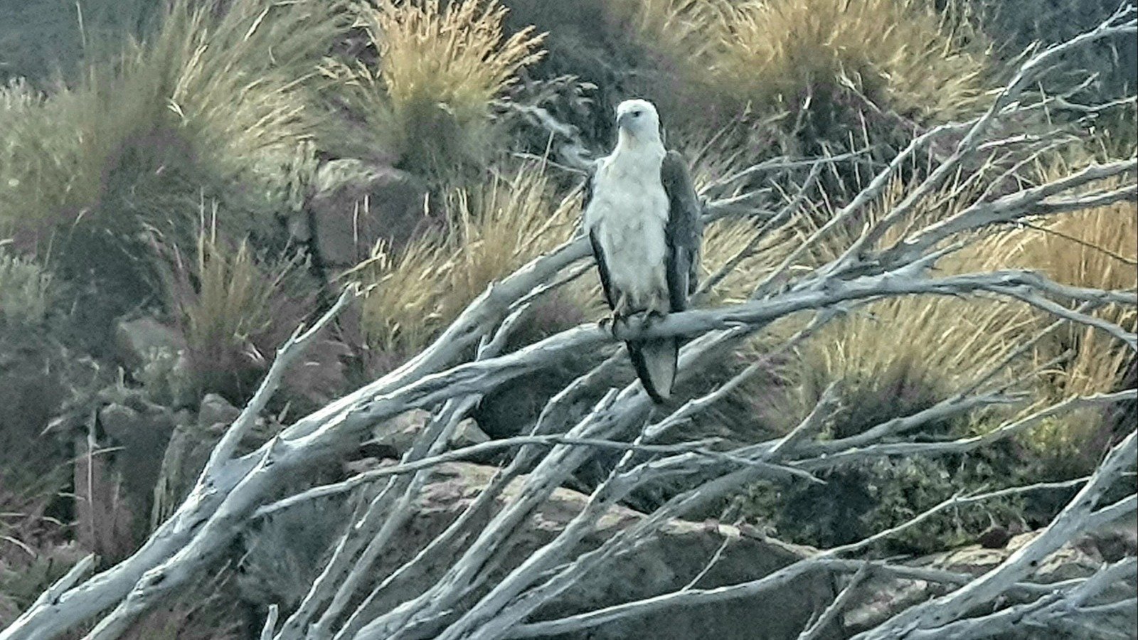 Petition · Change Runway 30: Save Our Communities - Australia · Change.org