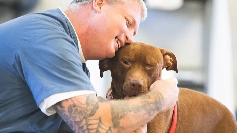 Petition · Save the convict cats! adopt the alabama prison cats into ...