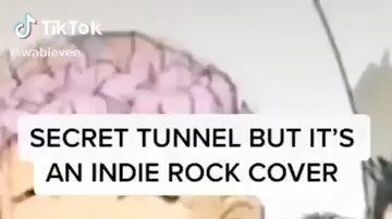 Petition · A full cover of the song, 'secret tunnel'. - Australia ...