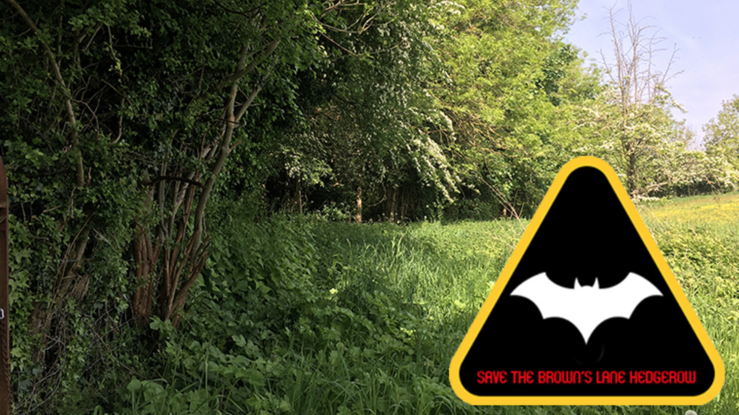 Petition · Save Browns Lane. Stop the destruction of our protected ...
