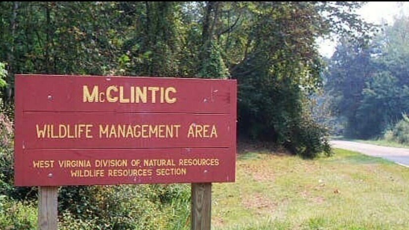 Petition · Revitalize Mothman’s Home! - United States · Change.org