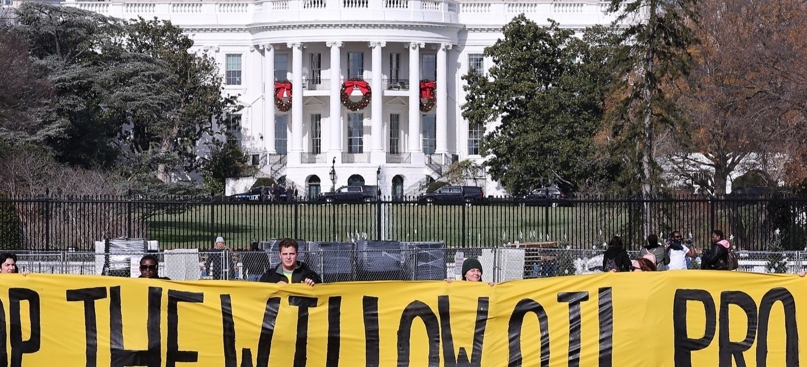 Petition · The Alaska willow project! - United States · Change.org