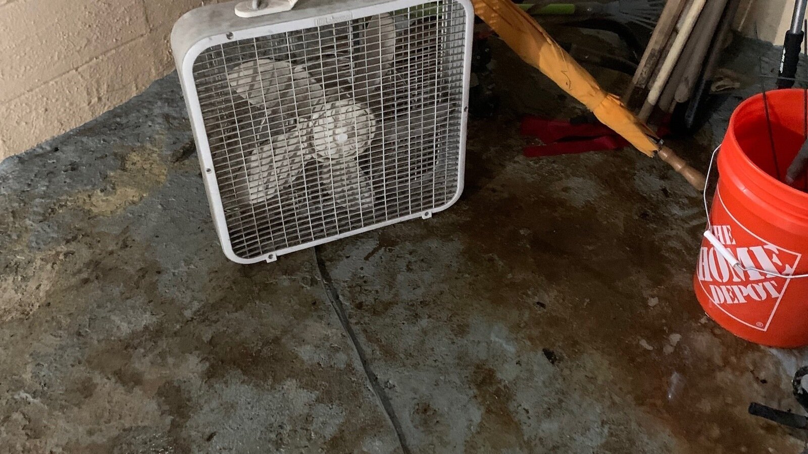 Petition · Demand Immediate Landlord Responsiveness to Unlivable ...
