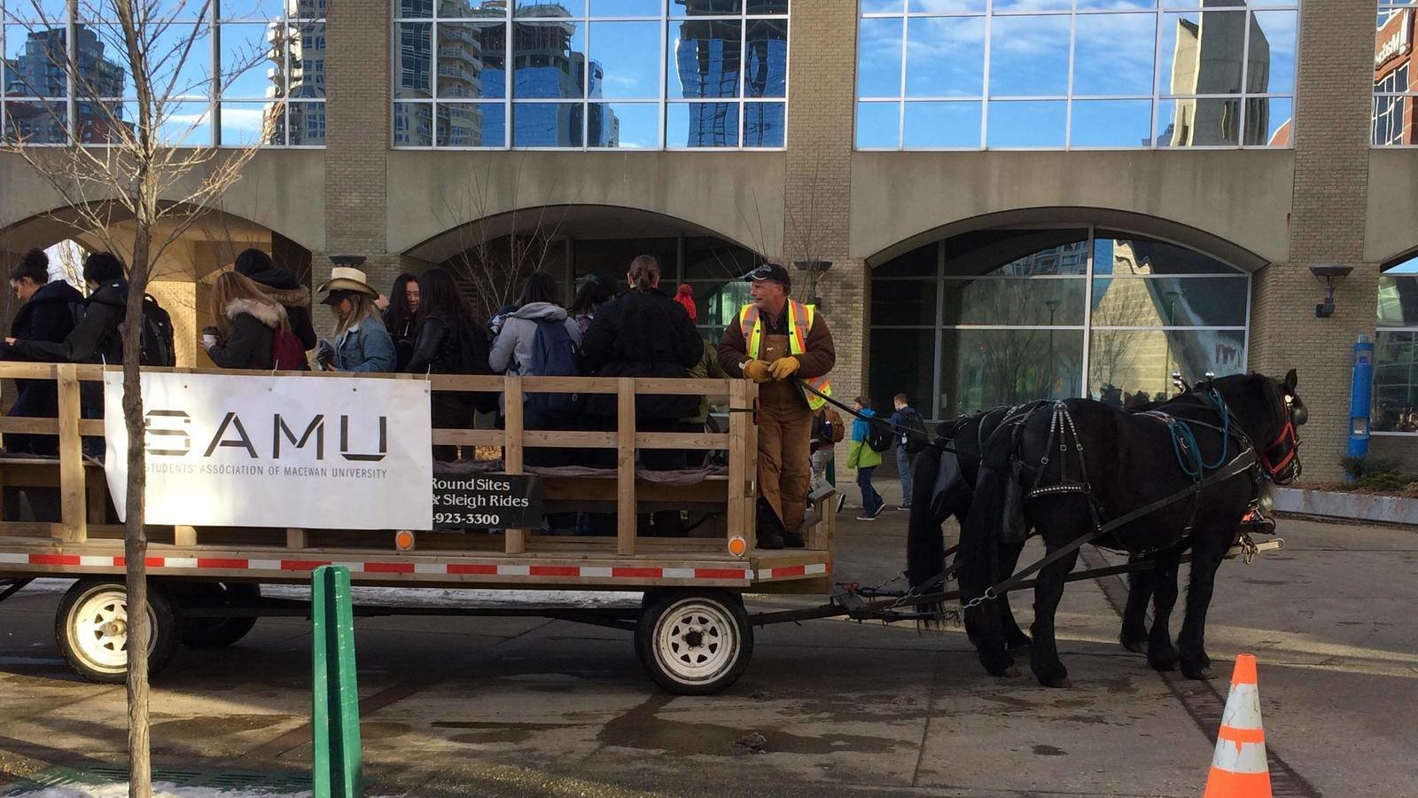 Petition · Stop SAMU's Winterfest from employing Sleighrides at MacEwan ...
