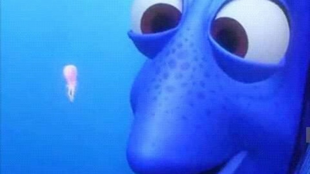 Dory Finding Nemo Squishy