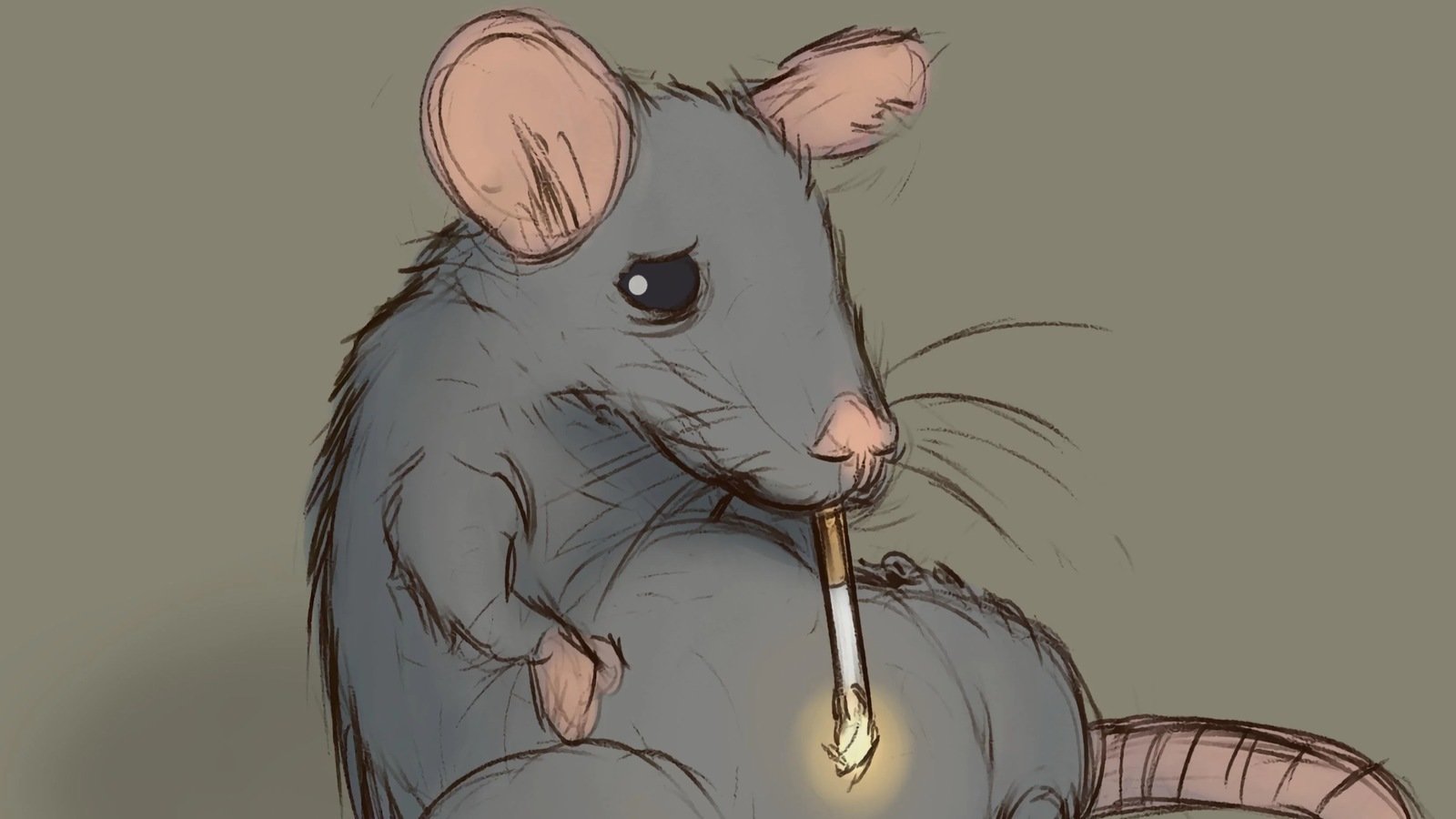 Petition · Protect The Rats - United States · Change.org