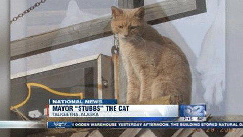 Petition · Allow cats to be elected as MPs - Canada · Change.org