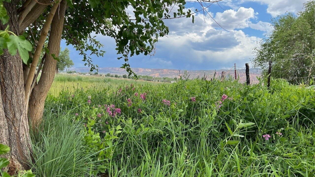 Petition · Save Fruita's Farmland: Stop the 19 Road and East of Fruita ...