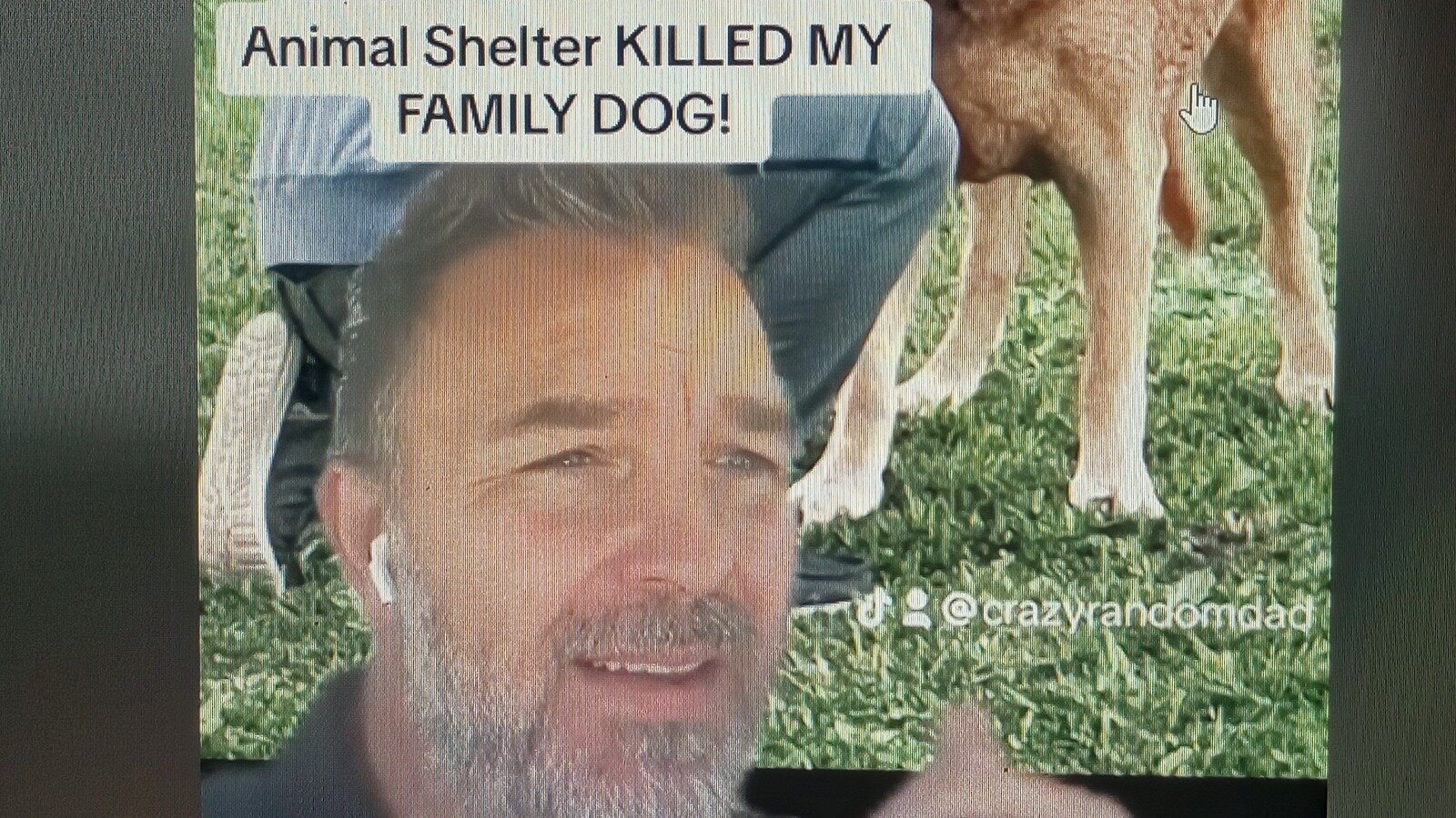 Petition · Demand Justice for Gunner and Shut Down Denton Animal ...