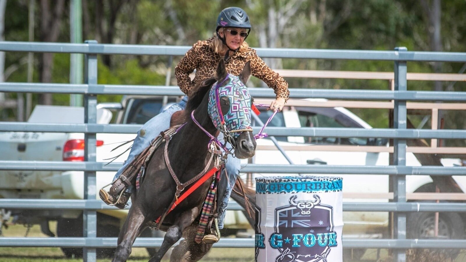 Petition · Reconsider the Ban on Melissa Kattenberg by the 2024 NBHA ...