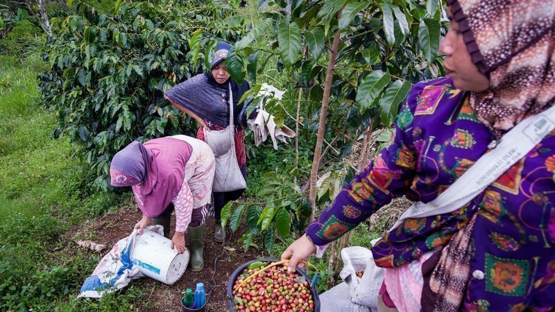 Petition · End humanitarian crisis in the coffee industry - United ...