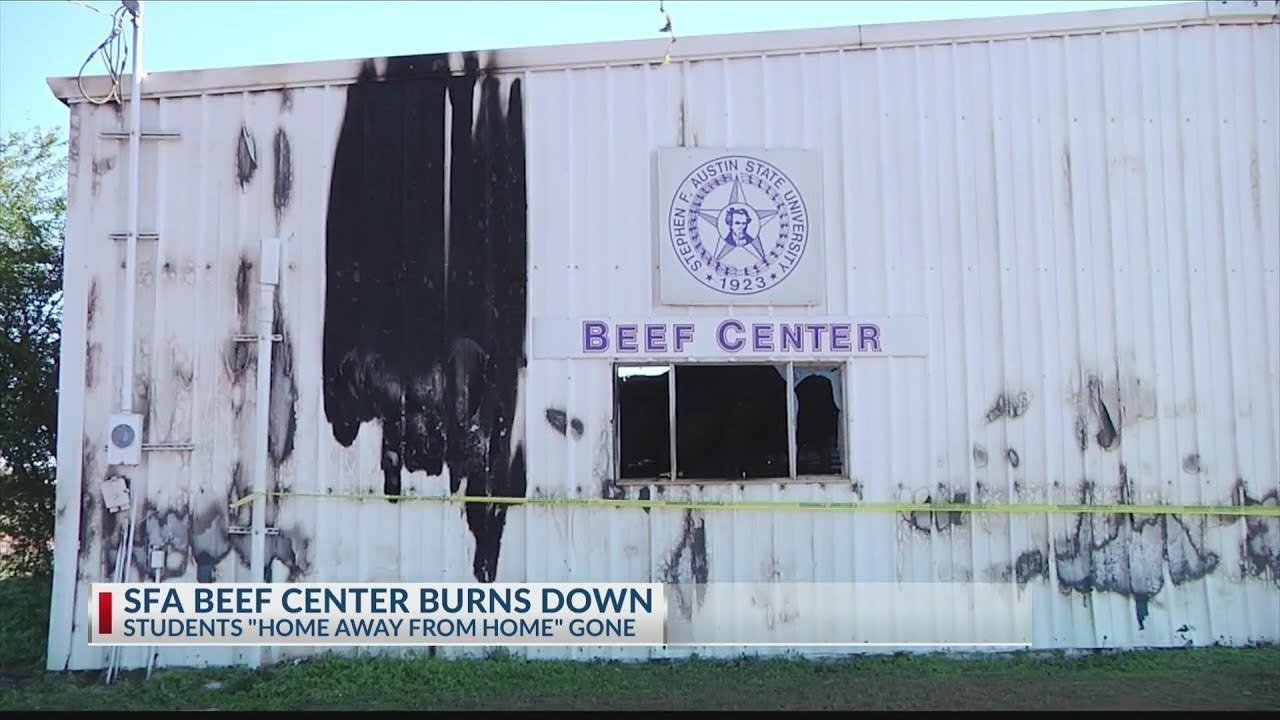 Petition · Rebuild SFA's Beef Center Barn - United States · Change.org
