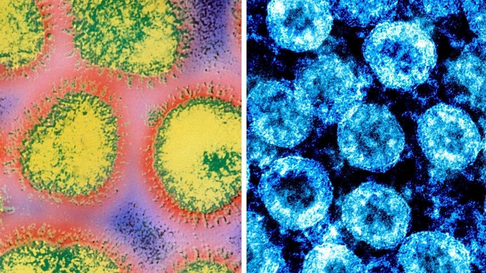 Petition · Reform RRISD High Schools' Midterm Exemption Policy - Round ...