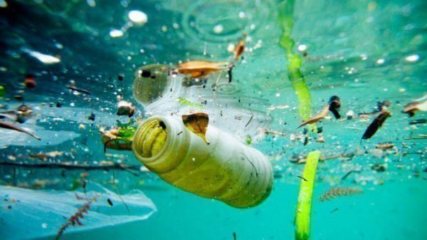 Petition · HEALTHY OCEANS AND SEAS ARE ESSENTIAL TO OUR EXISTENCE ...