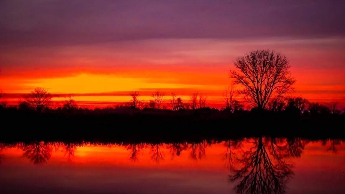 Petition · Tell Doug Ford ENOUGH! Protect Our Greenbelt and Repeal ...