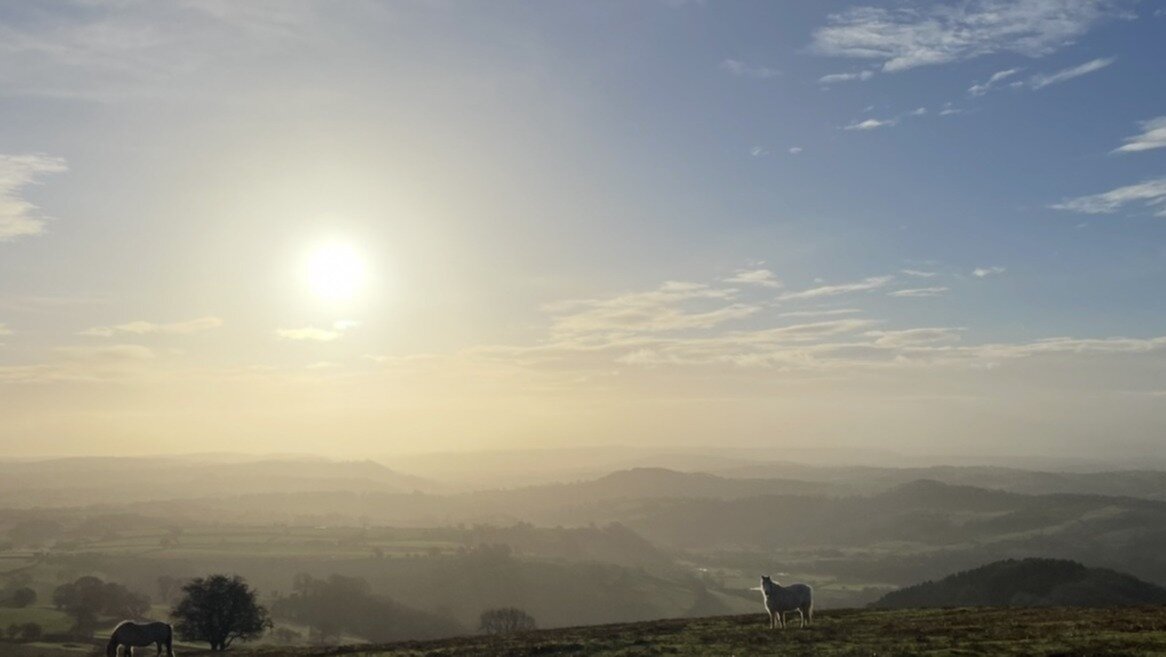 Petition · Lift Restrictions on Common Land and Garway Hill for Horse ...