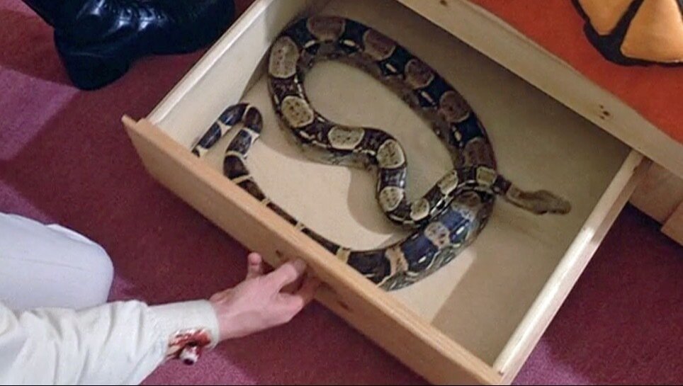 Petition · Let me out of the drawer - United States · Change.org