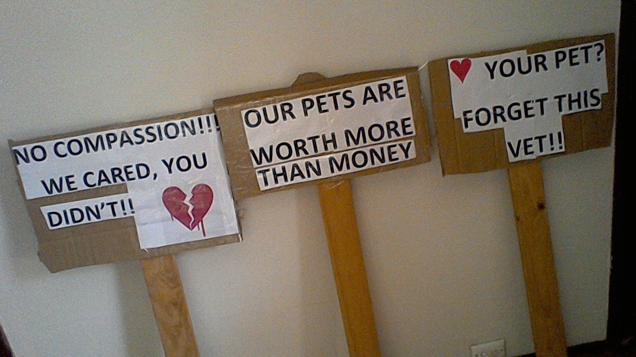 Petition · Investigate claims of animal neglect and mistreatment at ...
