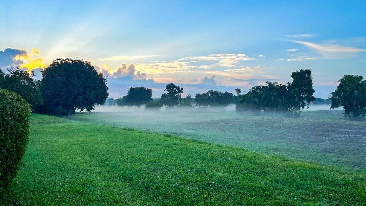 Petition · Save North Park, Boca Raton from Being Destroyed - Boca ...