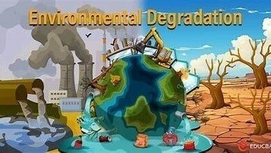 Petition · Petition Against Pollution and Environmental Degradation in ...