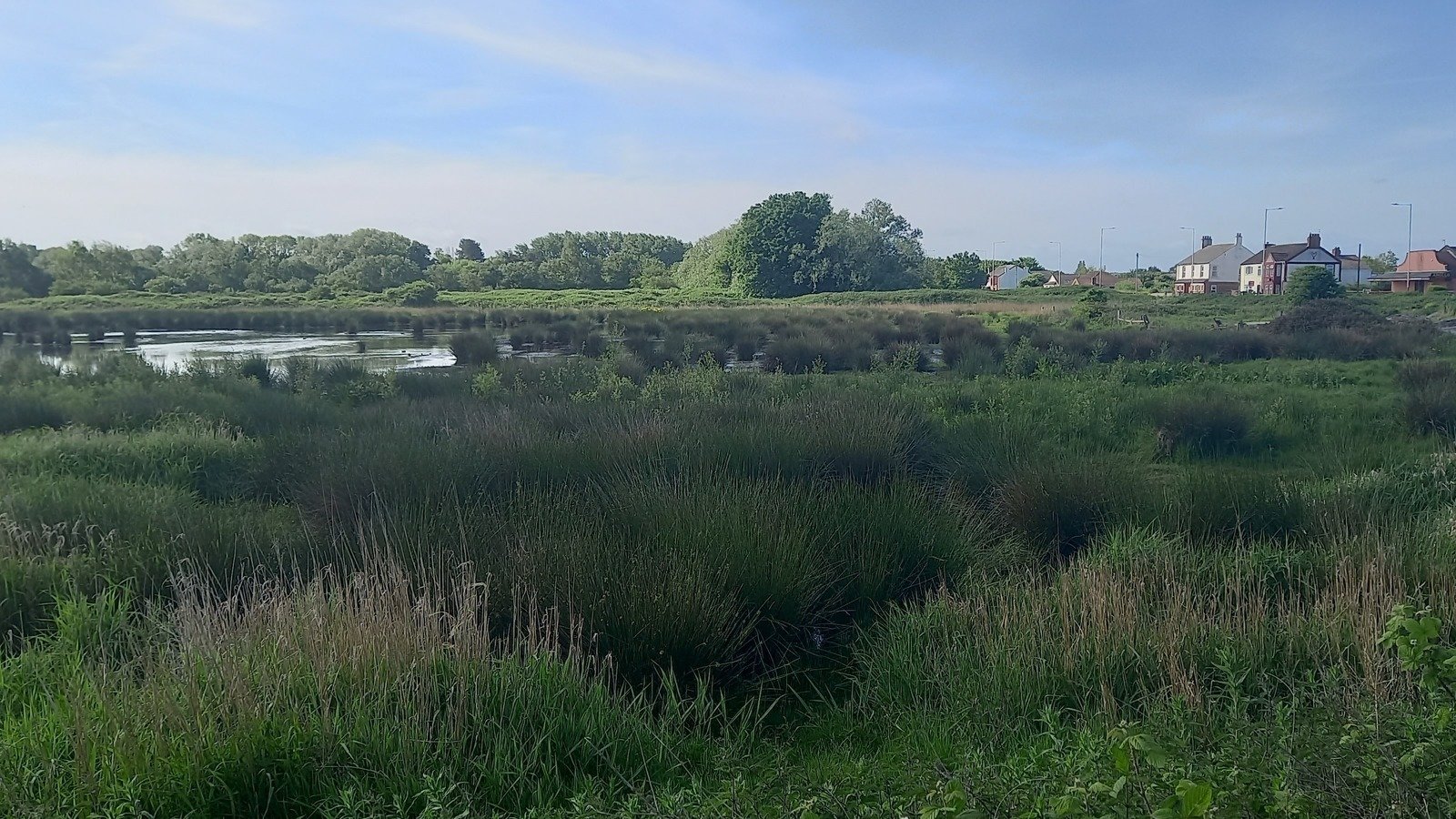 Petition · Preserve the precious Wildlife and Habitat at Pasture Marsh ...