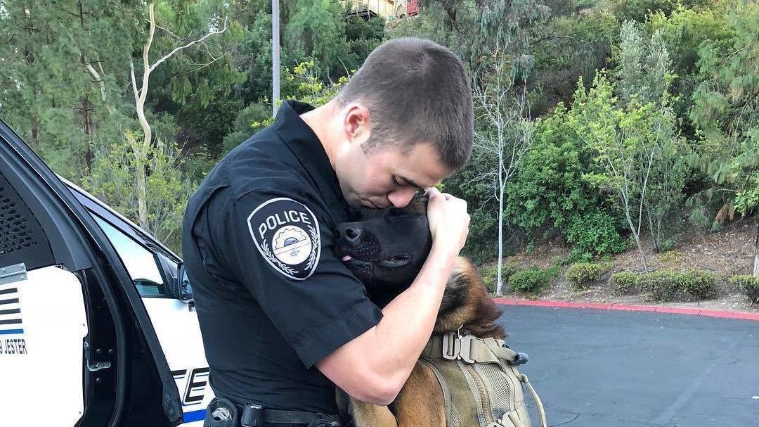 Petition · K-9 Jester to stay with his handler - United States · Change.org