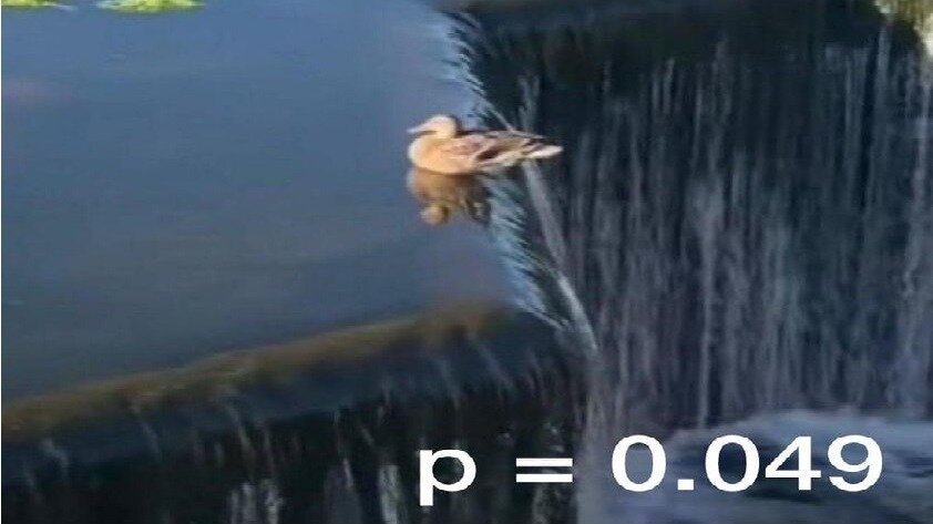 Petizione · P